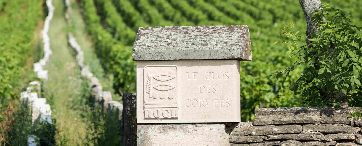Domaine Prieuré Roch Nuits-Saint-Georges Premier Cru Vieilles Vignes 2 ...