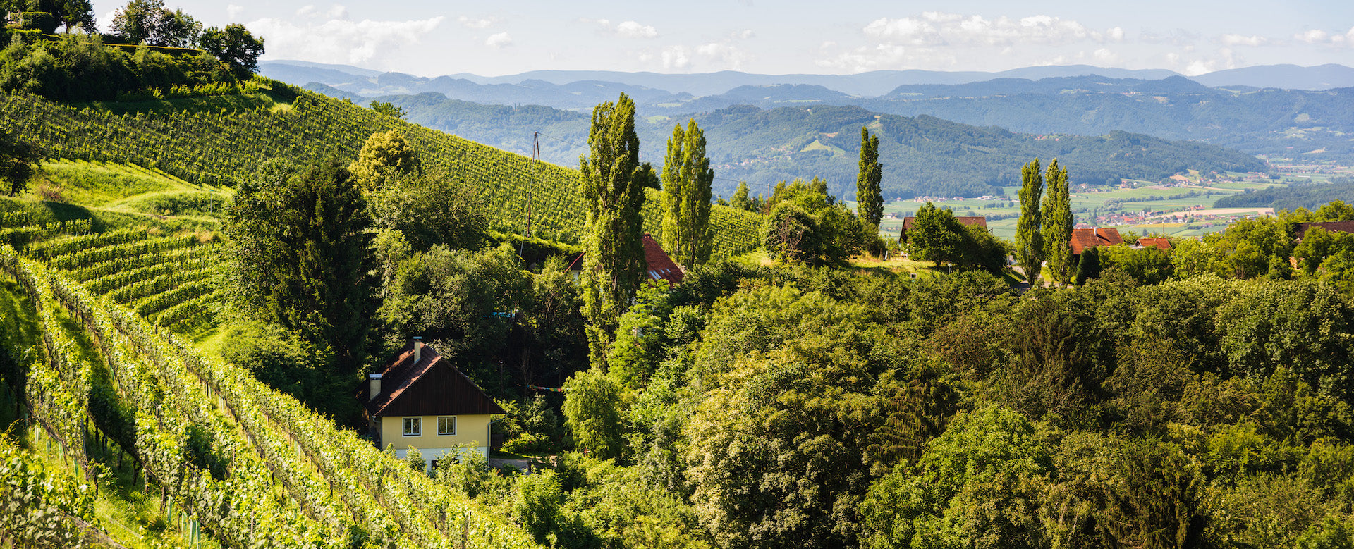 Saint-Émilion Wines: History, Classification and Terroir of Bordeaux’s ...